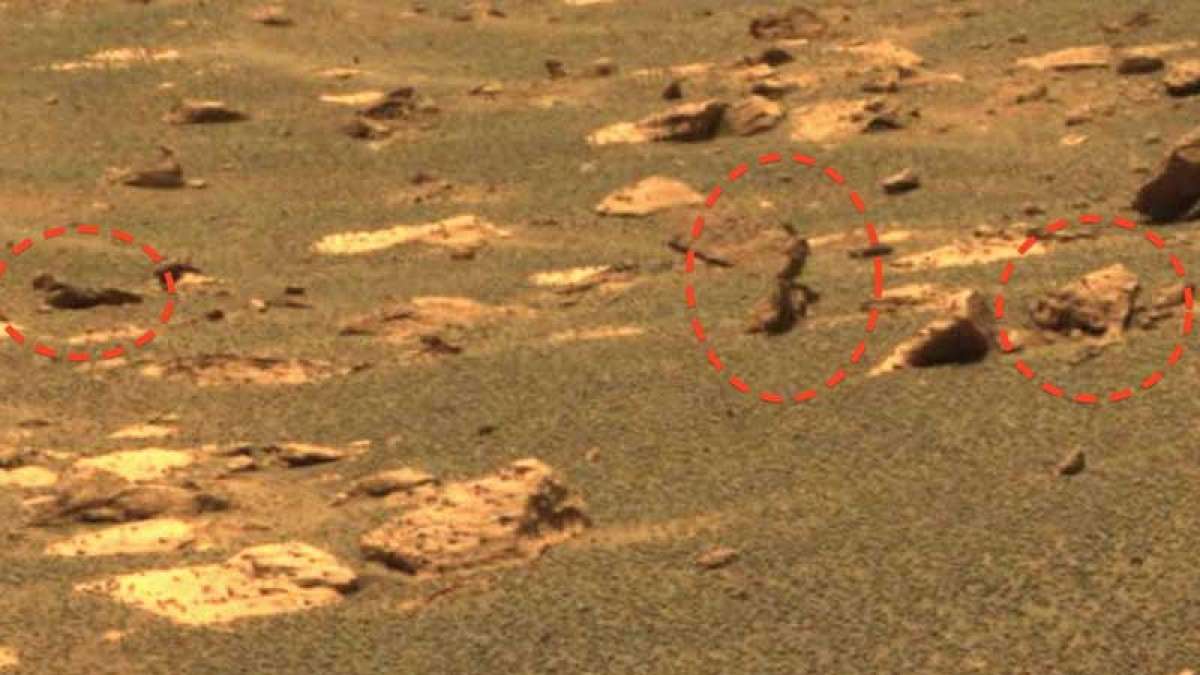 Are aliens for real? NASA to answer big question with Kepler findings ...