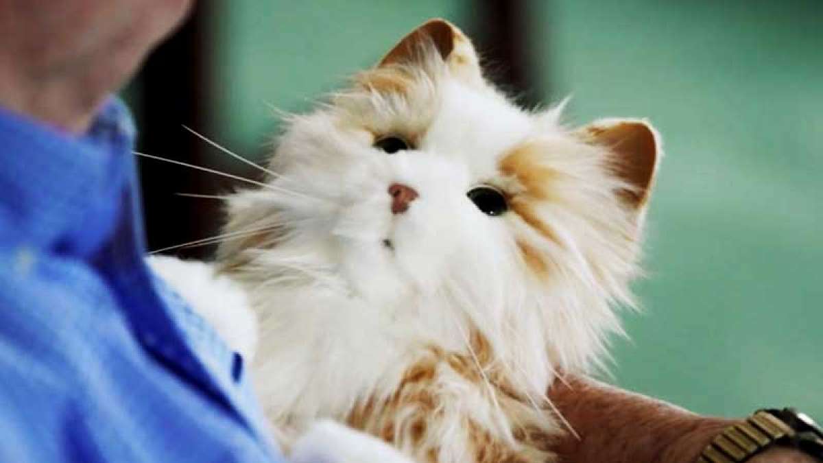 Hasbro, scientists to upgrade robot cat with Artificial Intelligence